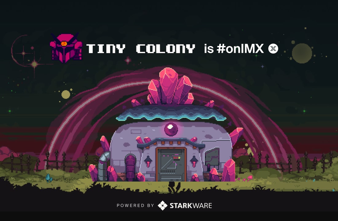 Tiny Colony and ImmutableX: Humanoid Ants, Epic Tales, and Digital Ownership | Immutable Blog